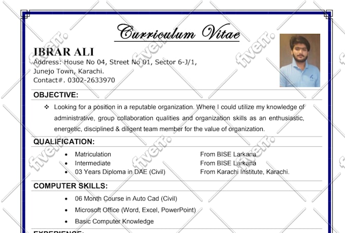 Provide professional resume writing and ats resume to land your dream job by Amazonmaster558 ...